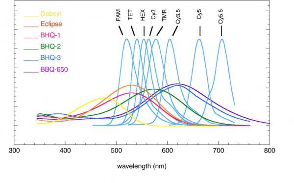 合成 FAQ – 艾科瑞生物