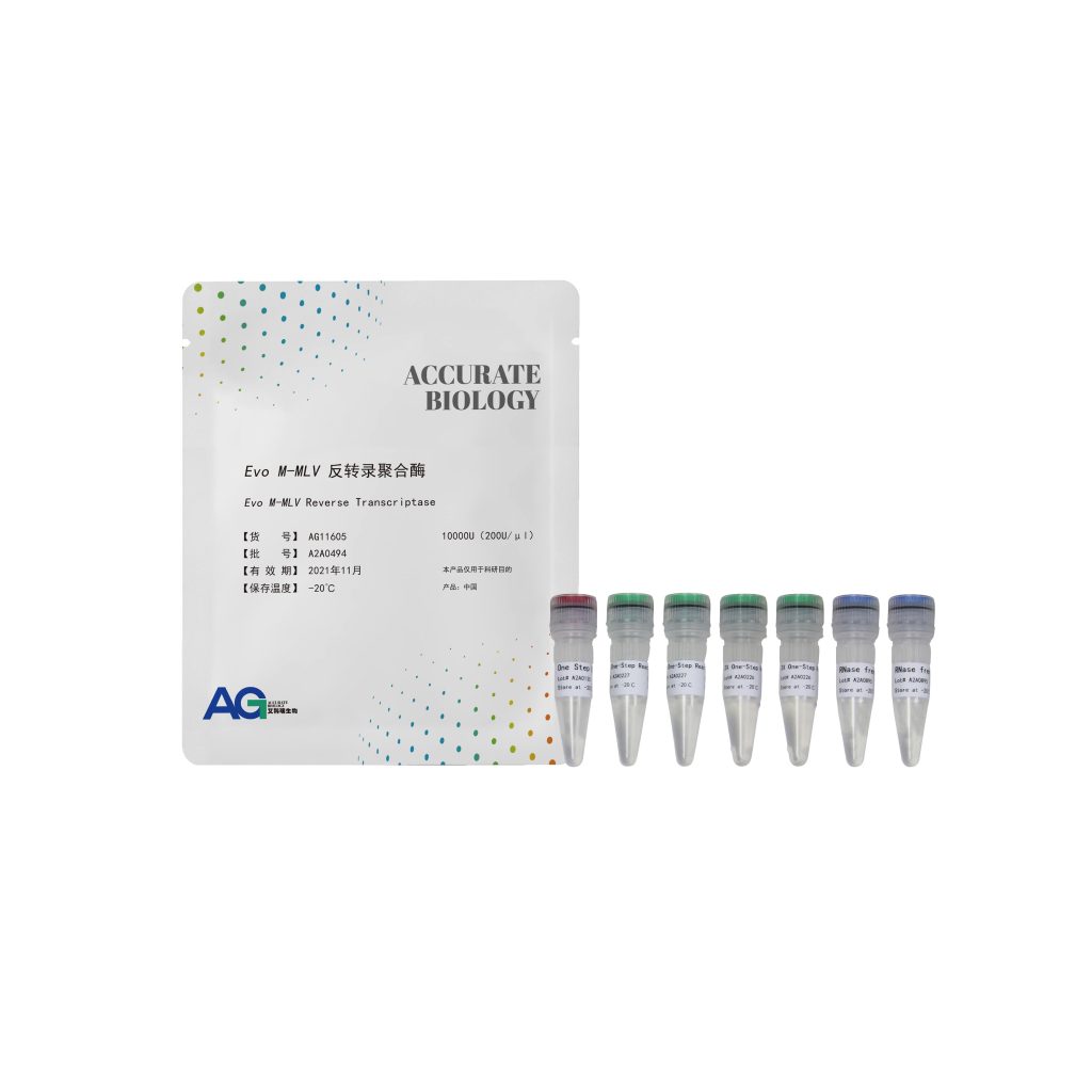 Evo M-MLV 一步法 RT-PCR 试剂盒 – 艾科瑞生物