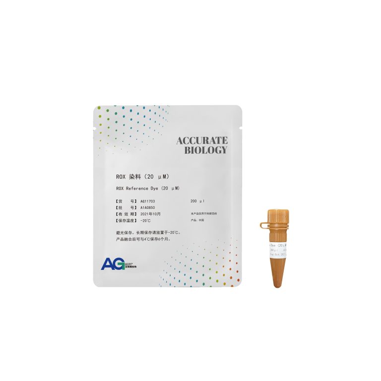 小鼠 GAPDH 基因引物对（用于 qPCR） – 艾科瑞生物