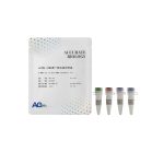 miRNA cDNA 第一链合成试剂盒 – 艾科瑞生物