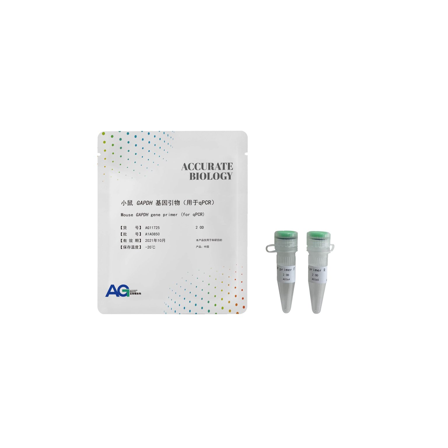 小鼠 GAPDH 基因引物对（用于 qPCR） – 艾科瑞生物