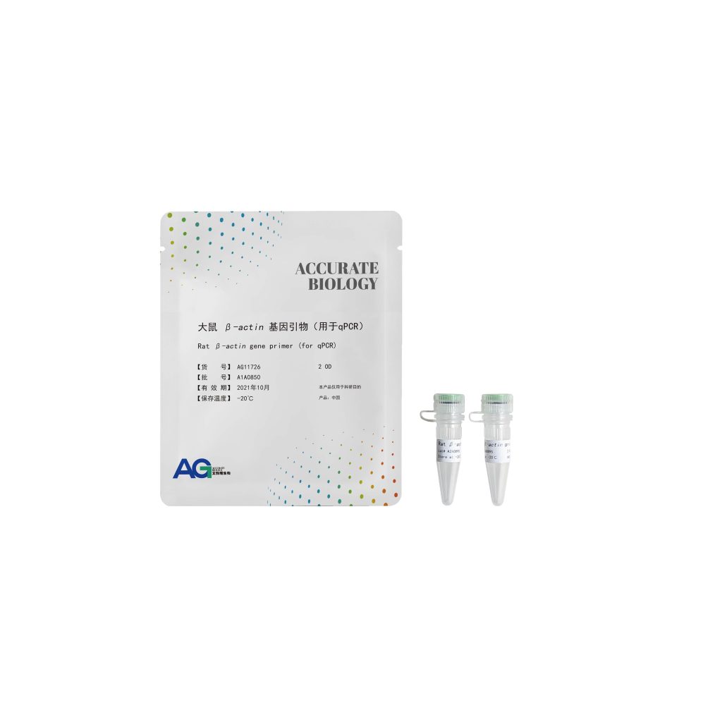 小鼠 GAPDH 基因引物对（用于 qPCR） – 艾科瑞生物