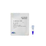 GL DNA Marker 5000 – 艾科瑞生物
