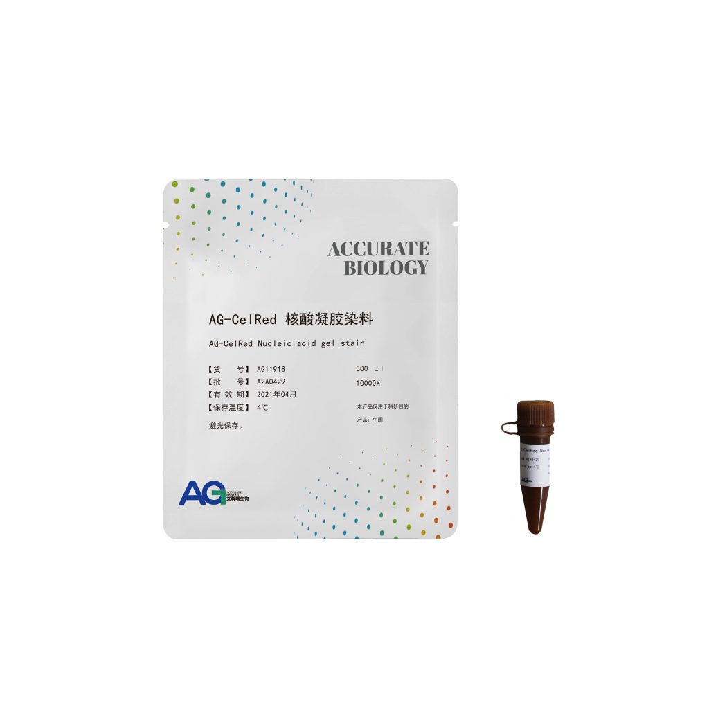 GL DNA Marker 5000 – 艾科瑞生物