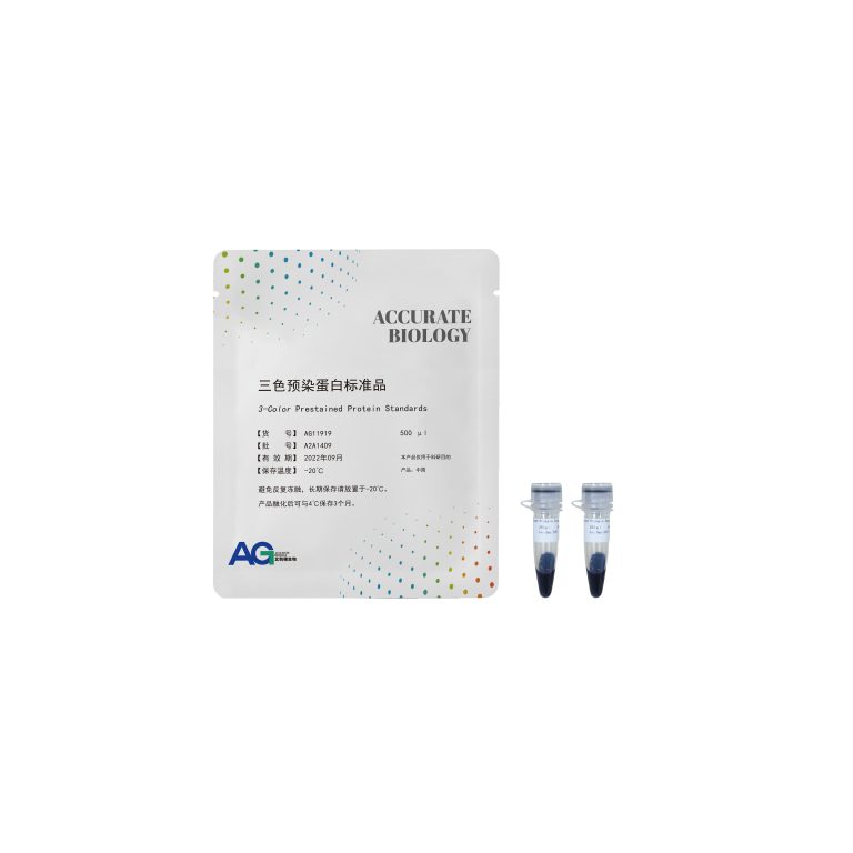 GL DNA Marker 10000 – 艾科瑞生物