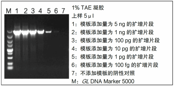 AdeptTect 快速 HS PCR 预混液（含染料） – 艾科瑞生物