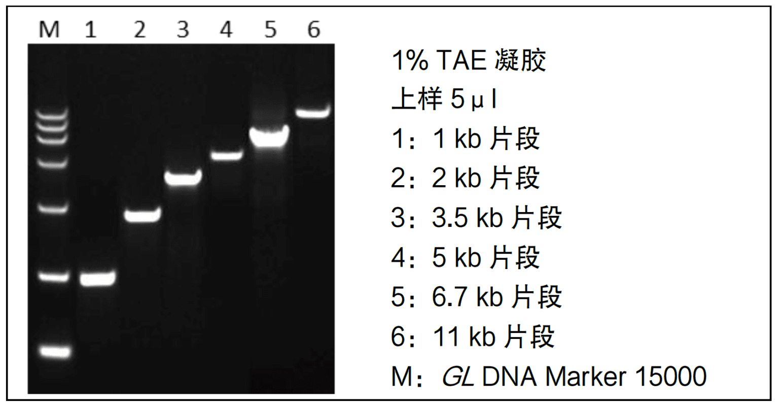 AdeptTect 快速 HS PCR 预混液（含染料）II – 艾科瑞生物