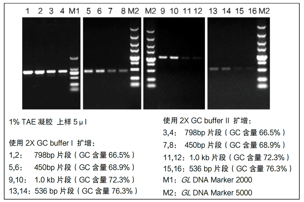 Exp Taq DNA 聚合酶（含GC Buffer） – 艾科瑞生物