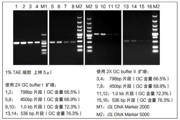 Exp Taq DNA 聚合酶（含GC Buffer） – 艾科瑞生物