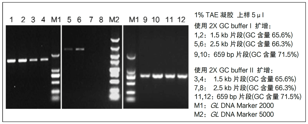 Exp Taq DNA 聚合酶（含GC Buffer） – 艾科瑞生物