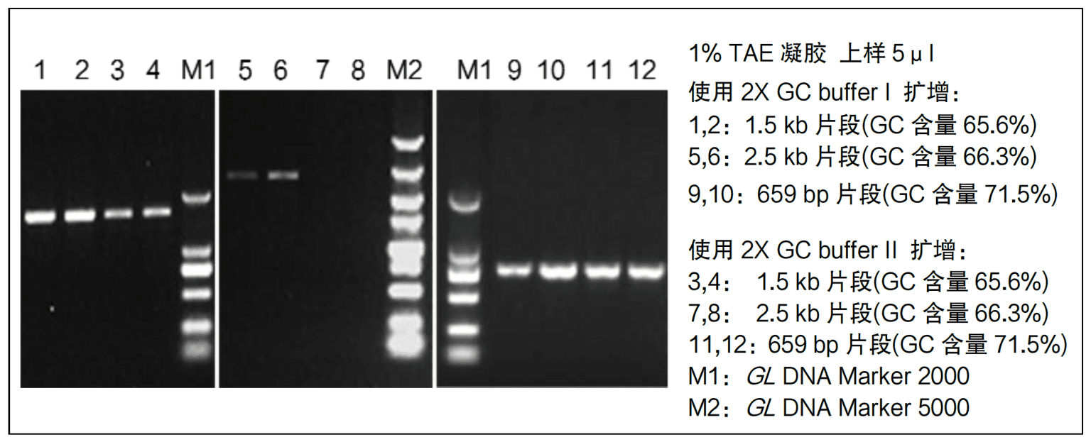 Exp Taq DNA 聚合酶（含GC Buffer） – 艾科瑞生物