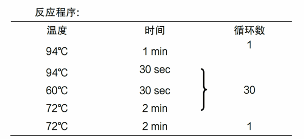 Exp Taq DNA 聚合酶（含GC Buffer） – 艾科瑞生物