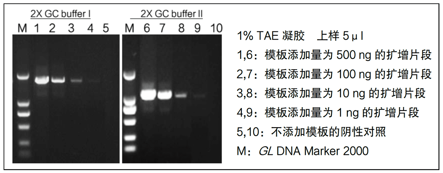Exp Taq DNA 聚合酶（含GC Buffer） – 艾科瑞生物