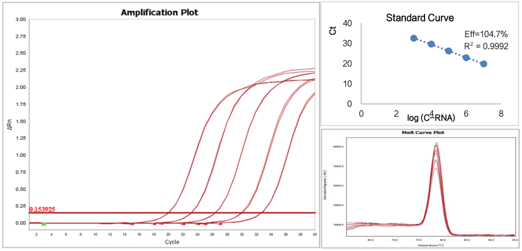 SYBR Green Pro Taq HS 预混型 qPCR 试剂盒（含示踪染料，含 Rox） – 艾科瑞生物