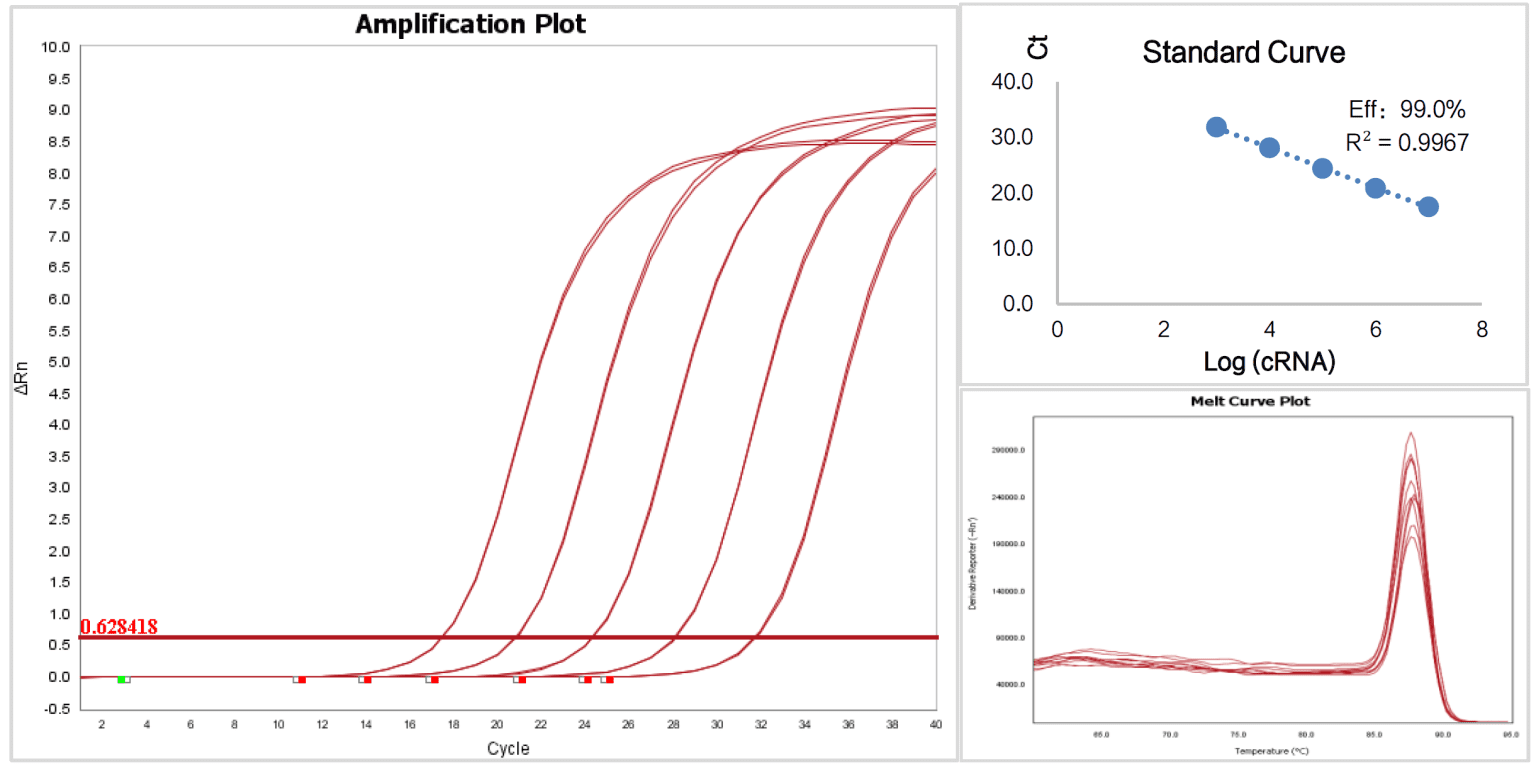 SYBR Green Pro Taq HS 预混型 qPCR 试剂盒 III（含低Rox） – 艾科瑞生物