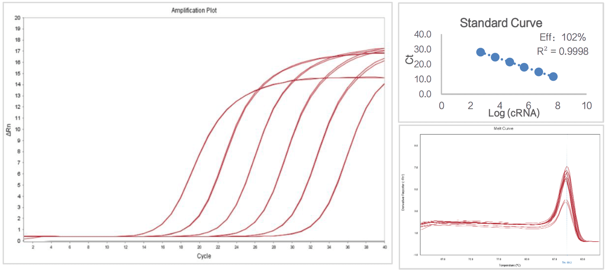 SYBR Green Pro Taq HS 预混型 qPCR 试剂盒 III（含高 Rox） – 艾科瑞生物