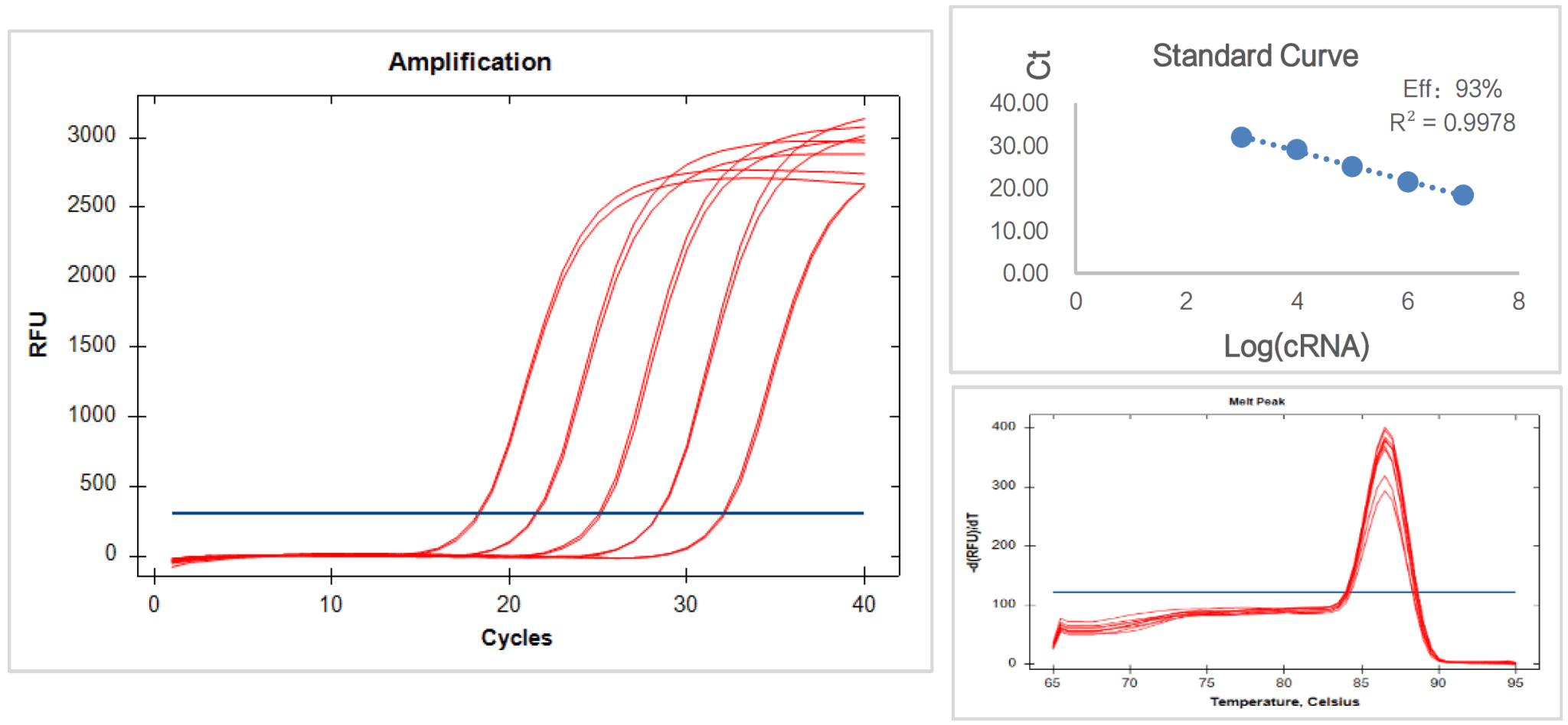 SYBR Green Pro Taq HS 预混型 qPCR 试剂盒 III（含高 Rox） – 艾科瑞生物