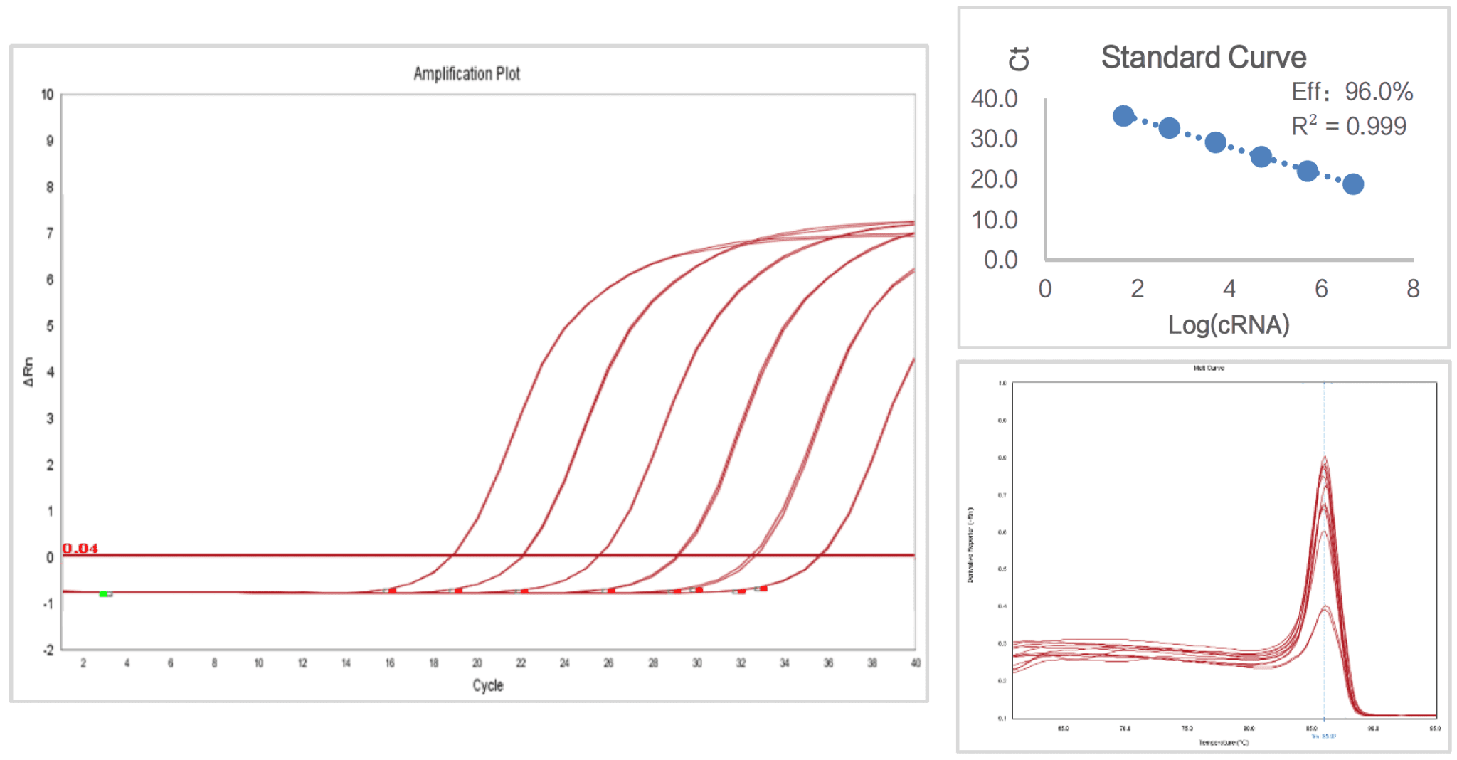 SYBR Green Pro Taq HS 预混型 qPCR 试剂盒（含高Rox） – 艾科瑞生物