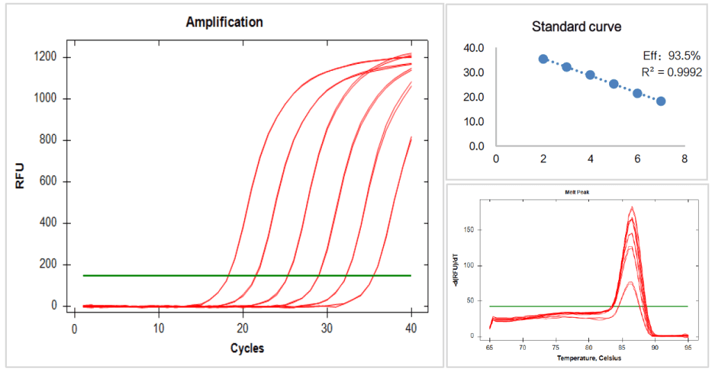 SYBR Green Pro Taq HS 预混型 qPCR 试剂盒 II（含高 Rox） – 艾科瑞生物