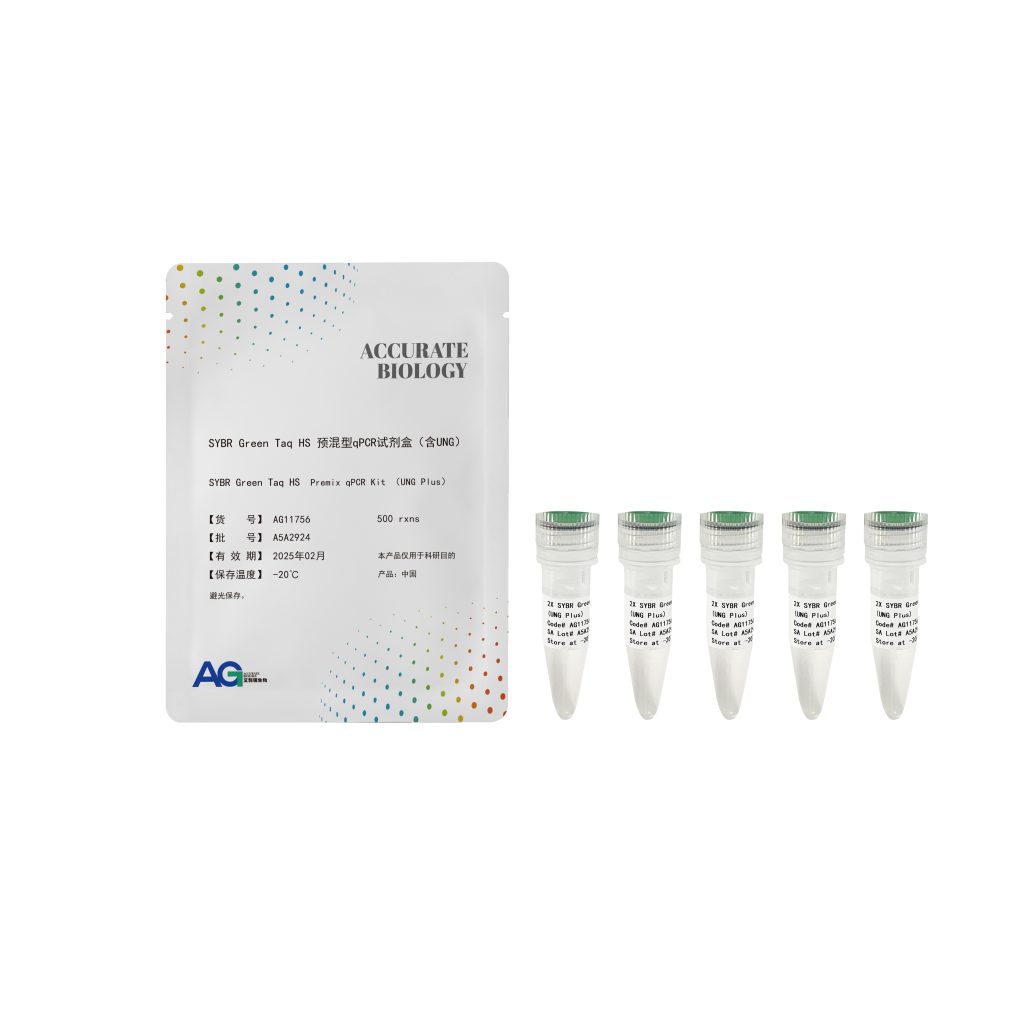 小鼠 GAPDH 基因引物对（用于 qPCR） – 艾科瑞生物