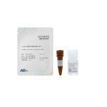 CytoDet 细胞活力检测试剂盒（MTT） – 艾科瑞生物