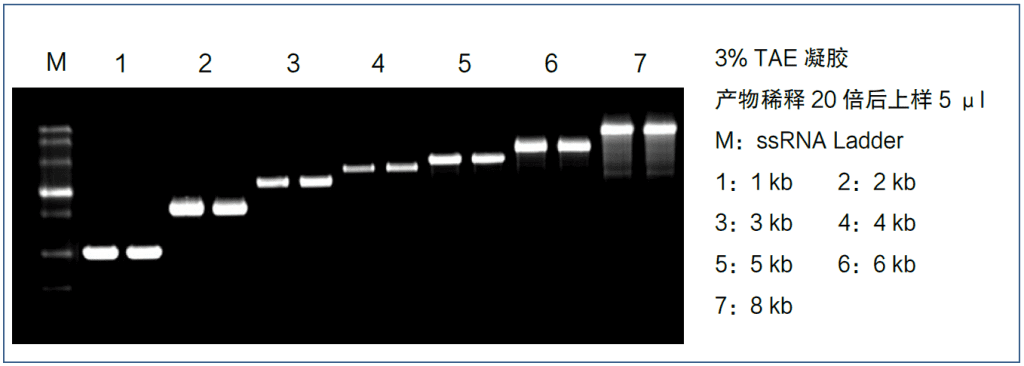 InviTrans T7 体外转录试剂盒 – 艾科瑞生物