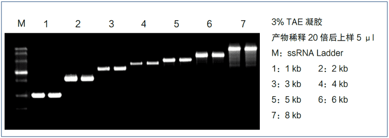 InviTrans T7 体外转录试剂盒 – 艾科瑞生物