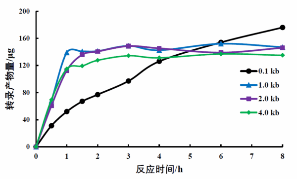 InviTrans T7 体外转录试剂盒 – 艾科瑞生物