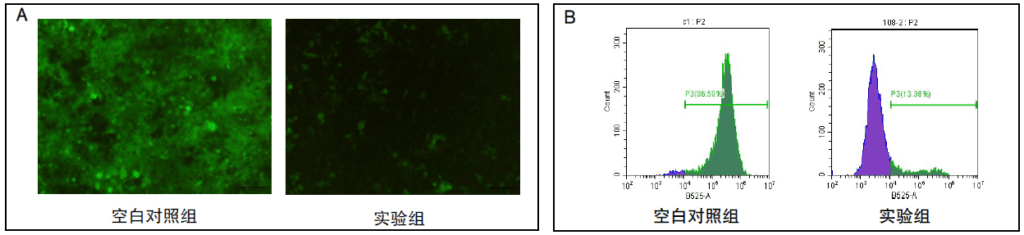 NLS-Cas9-NLS 核酸酶（50%甘油） – 艾科瑞生物