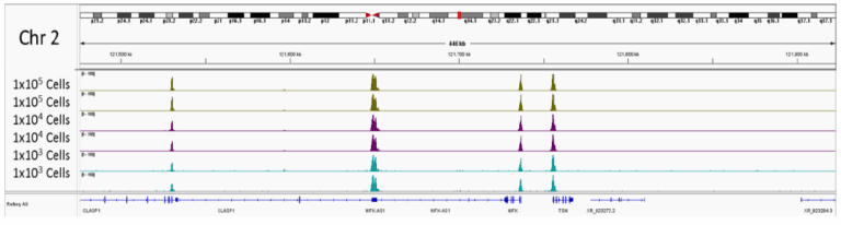 AccuNext CUT & Tag DNA 建库试剂盒（Illumina） – 艾科瑞生物